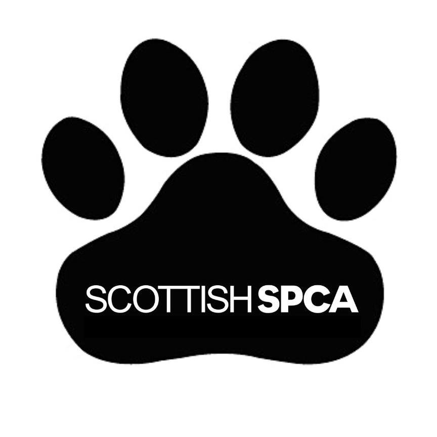 Kitten Neutering Database